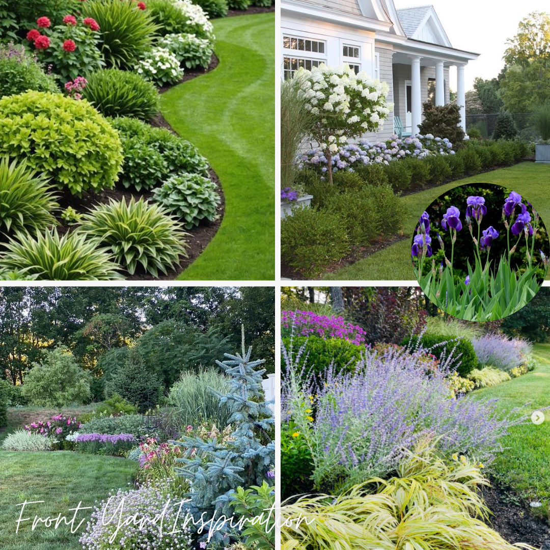 Landscape Design Process – Landscape by Lauren